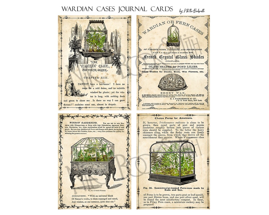 Wardian Cases Journal Cards Antique Ephemera Books Journals Albums ...