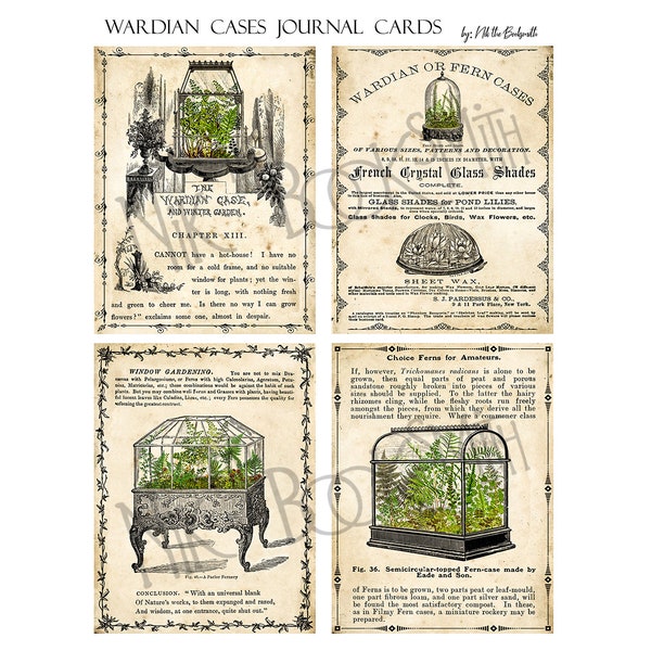 Wardian Case - Etsy