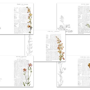 Prairie Wildflowers Journal Page Kit - INK SAVING Images to Print on ...