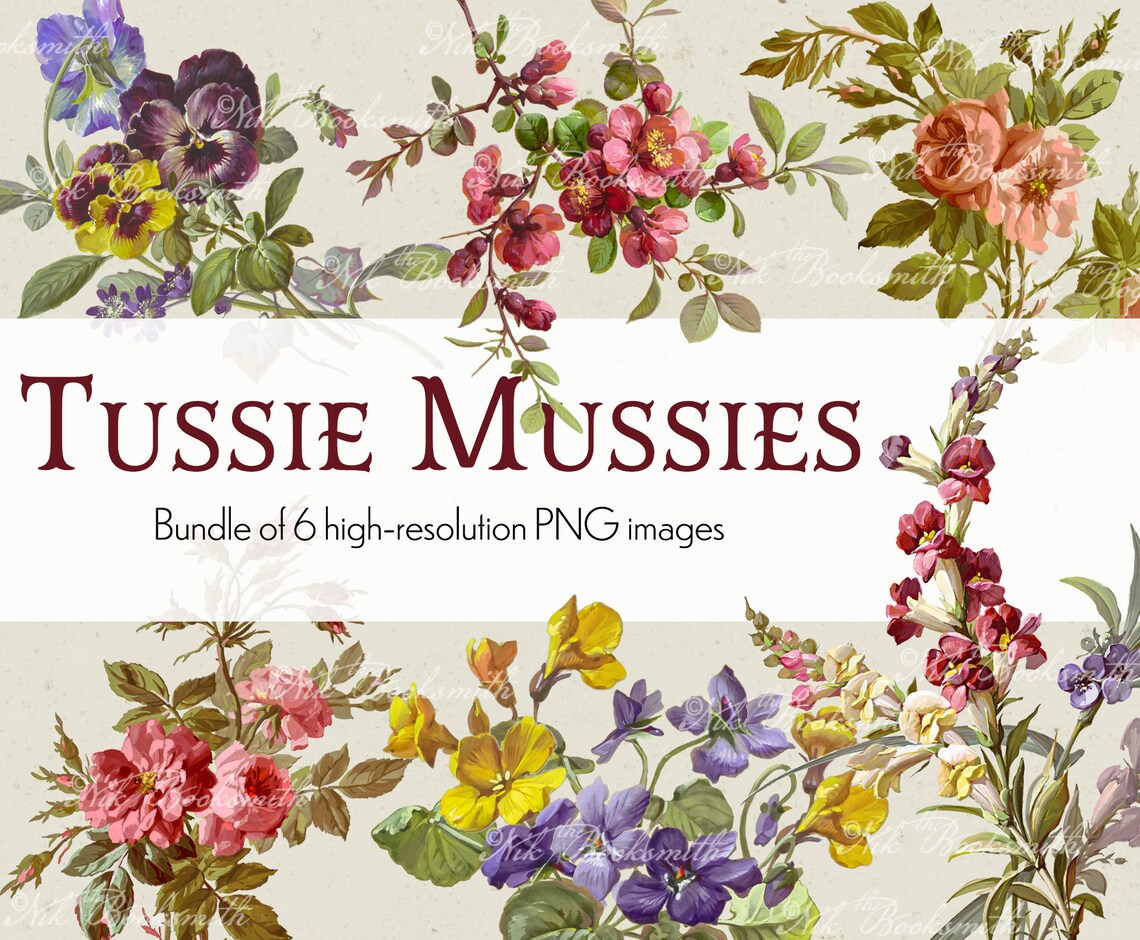 Tussie Mussies PNG Digital Kit 6 Images With Transparent - Etsy