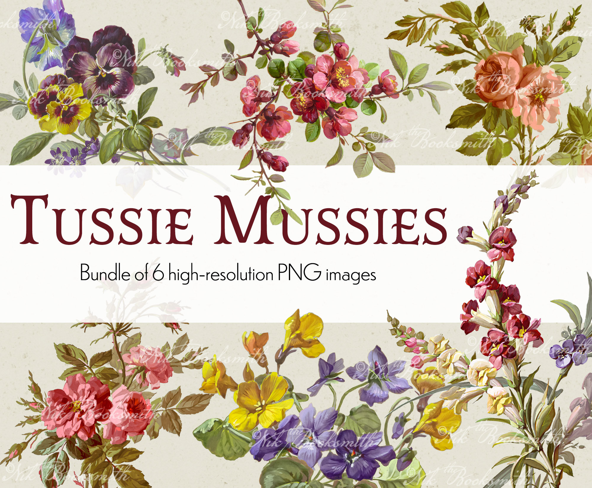 Tussie Mussies PNG Digital Kit 6 Images With Transparent - Etsy Canada