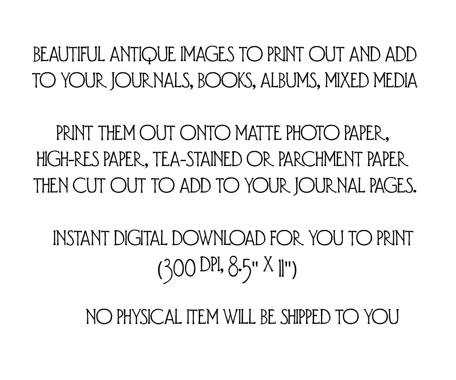 Prairie Wildflowers Journal Page Kit INK SAVING Images to | Etsy