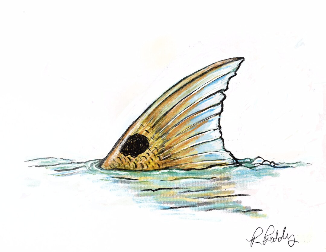 Redfish Tail 8x10 Flat - Etsy