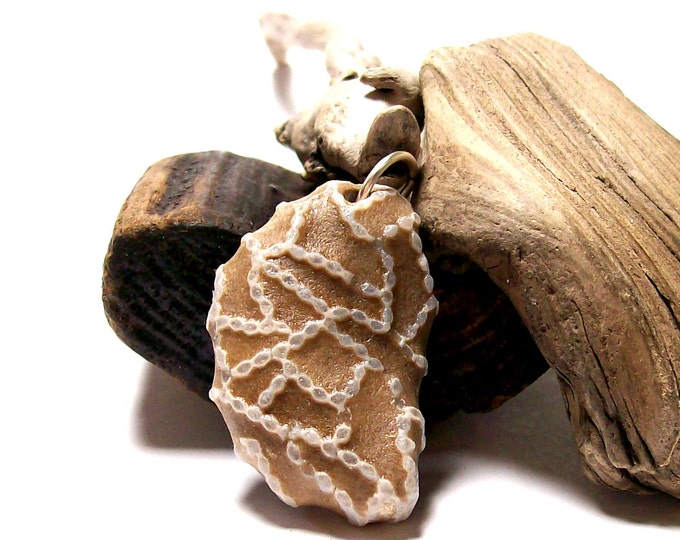 Beach Stone Pebble Extremely Rare Fossil Chain Coral Pendant - Etsy