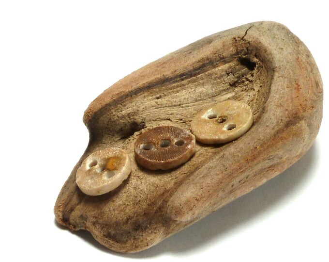 Crinoid Buttons - Fossil Beach Stones Stems Wheel Beads - Ancient Lake ...