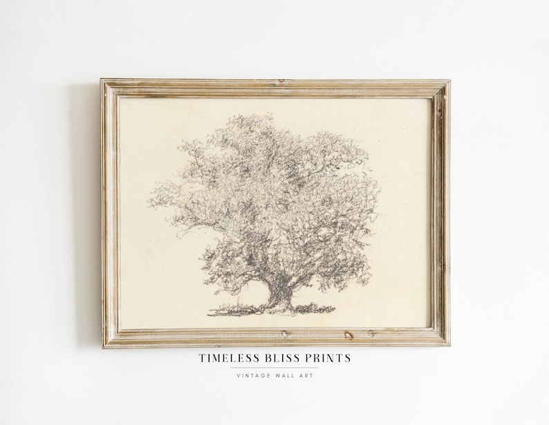 Antique Simple Tree Sketch Printable Digital Download | Vintage Tree ...