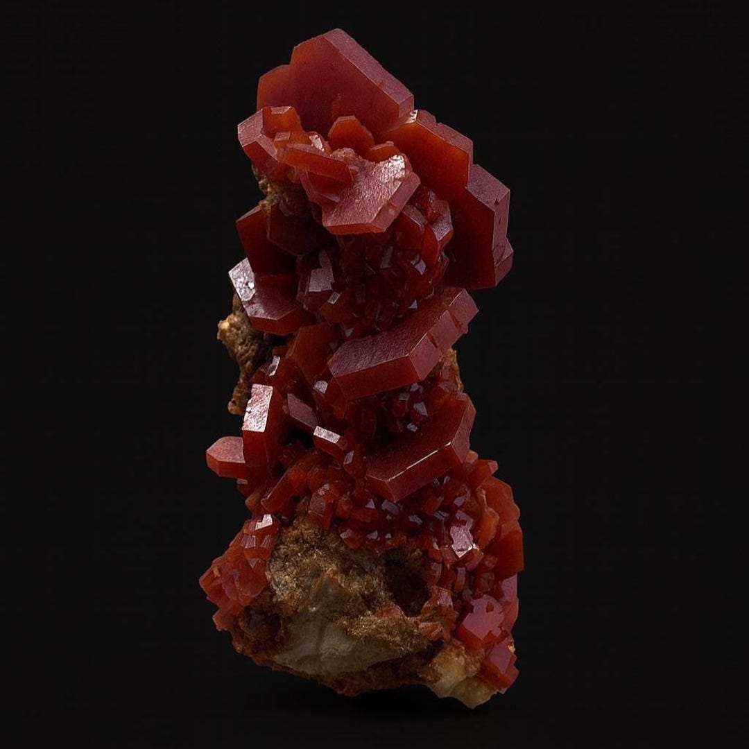 Vanadinite on Fossilized Shell From Morocco – Rare Red Crystal Mineral ...