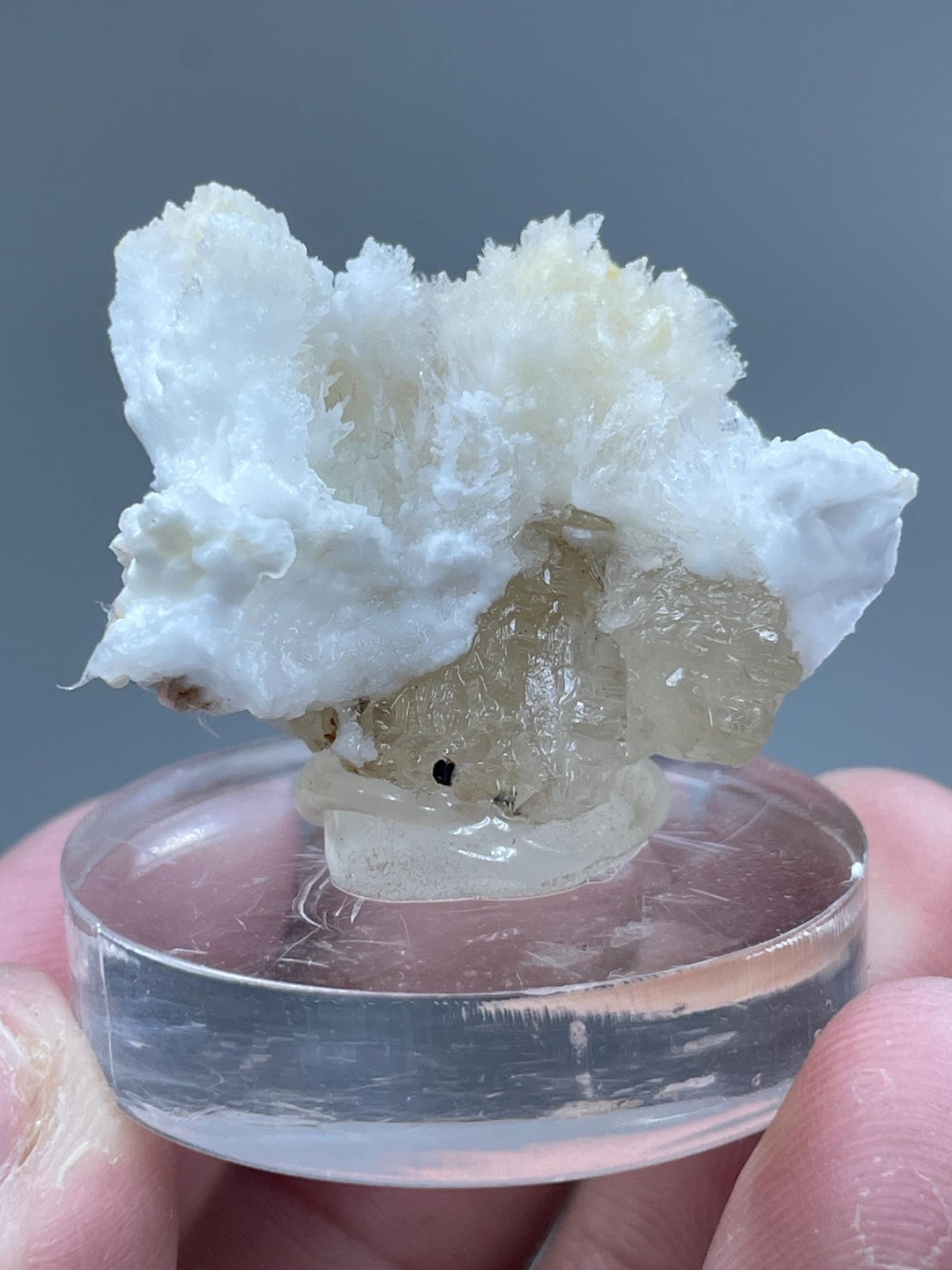 Rare Snowflake Cerussite Crystal Cluster – White Cerussite on Matrix ...