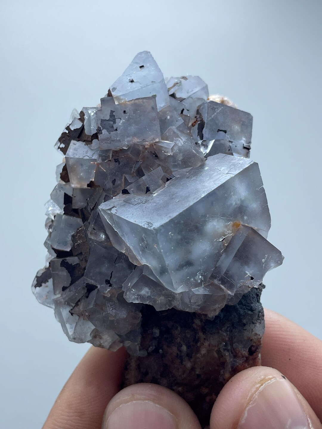 Rare Blue Fluorite Cube on Dark Matrix – Natural Moroccan Mineral ...