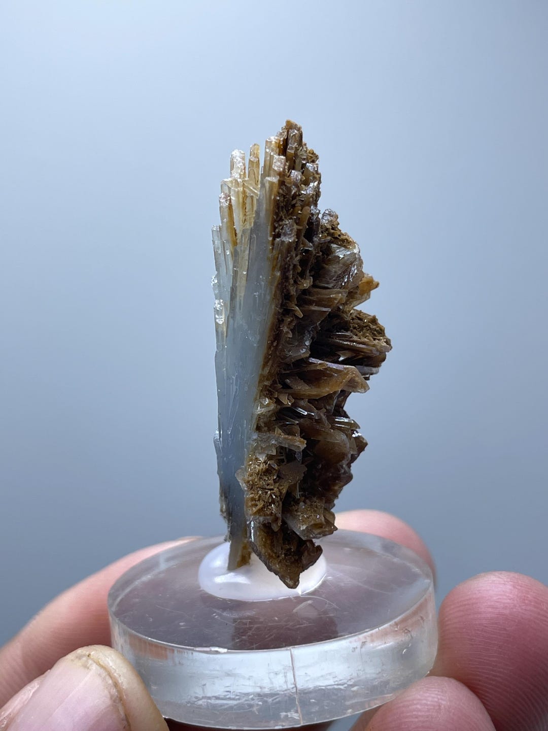 Blue Barite Crystal – Elegant Transparent Blades From Morocco | Rare ...