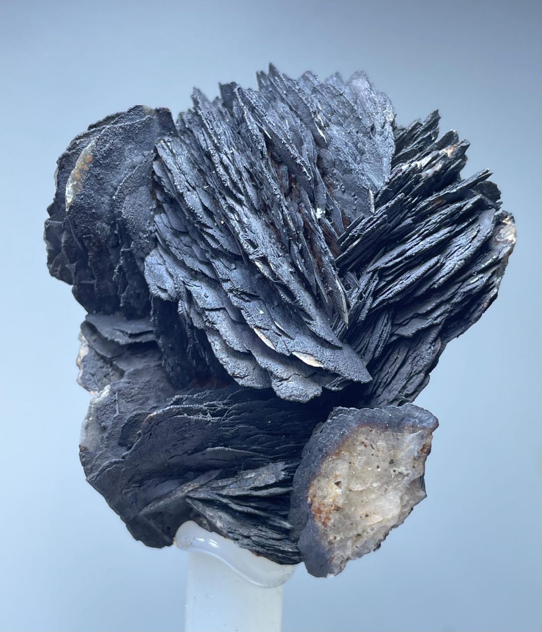 Rare Black Barite Rose, Natural Lamellar Formation, Crystal Collector's ...