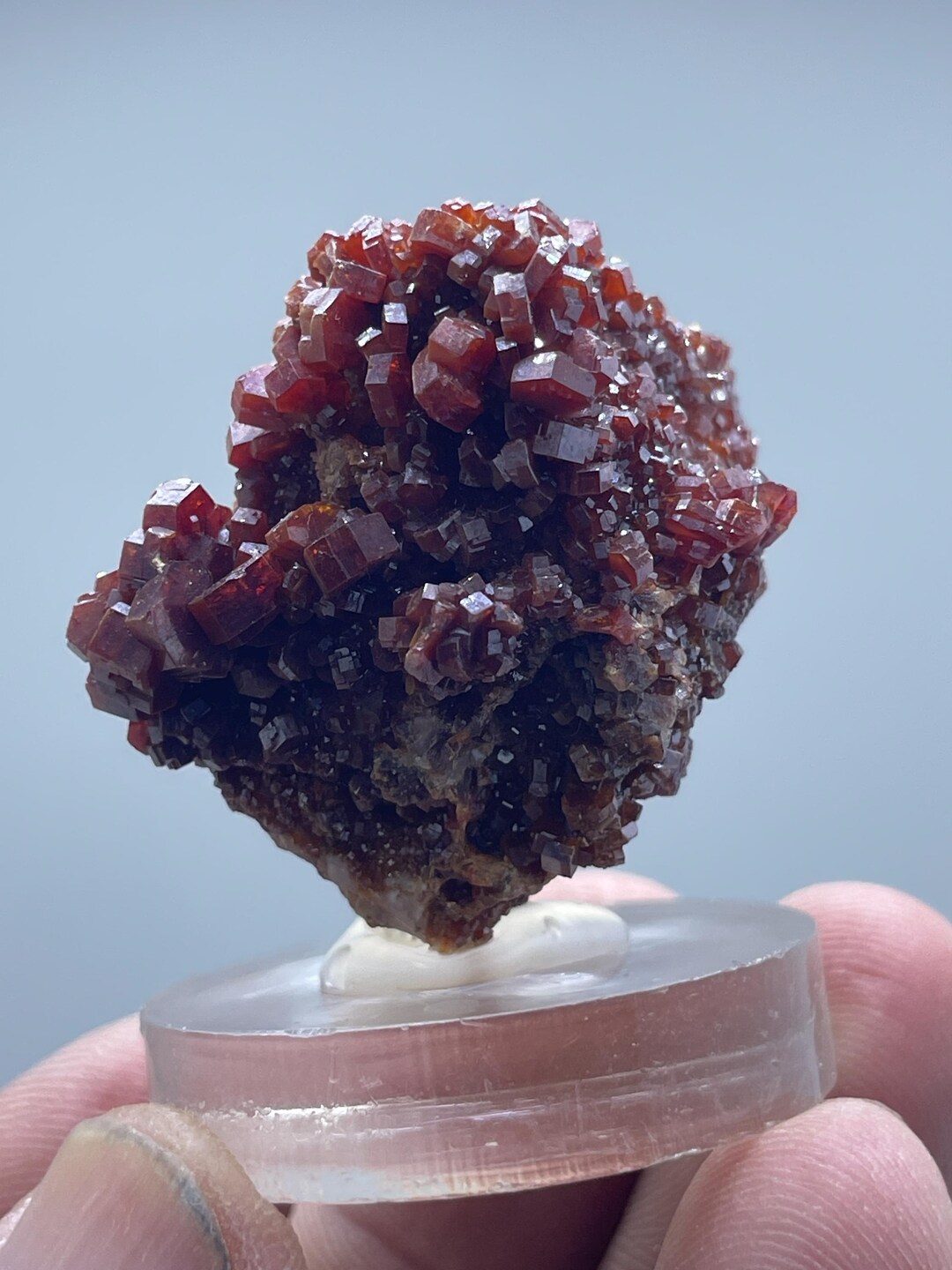 Vanadinite Cluster on Matrix – Deep Red Crystals, Authentic Moroccan ...