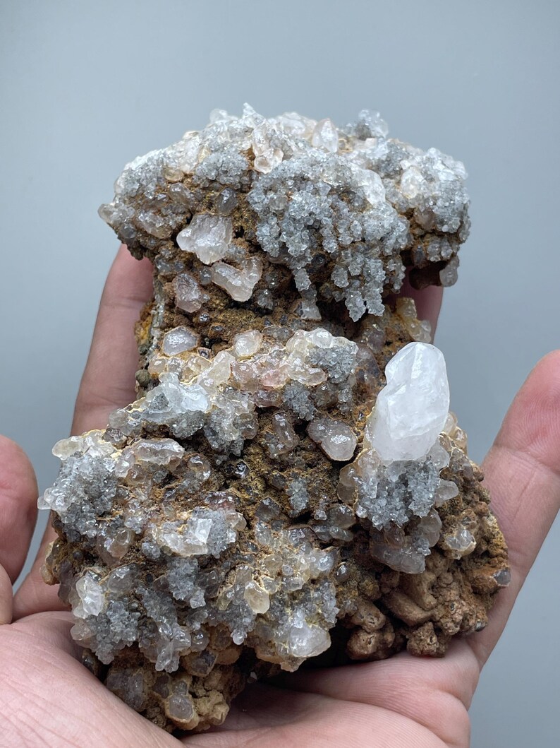 Transparent Gypsum Crystals on Matrix – Natural Moroccan Mineral ...