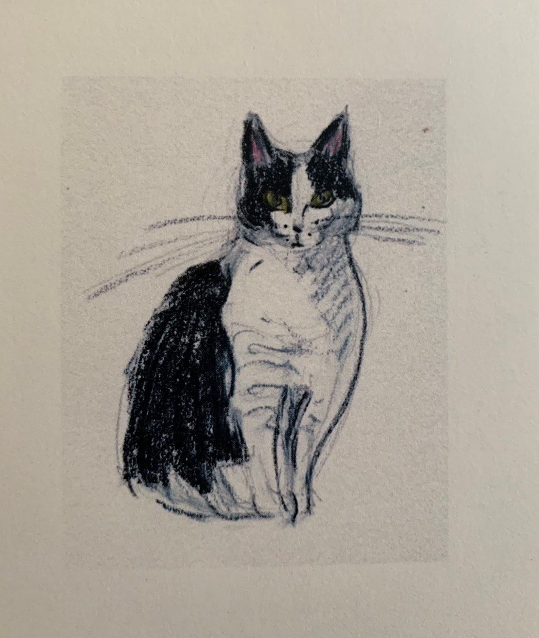 Set of 6 Static Sit Black and White Cat Notecards, Rare Designs ...