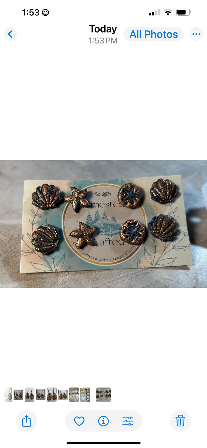 Patina Blue Ocean Clam and Sand Dollar Studs - Etsy