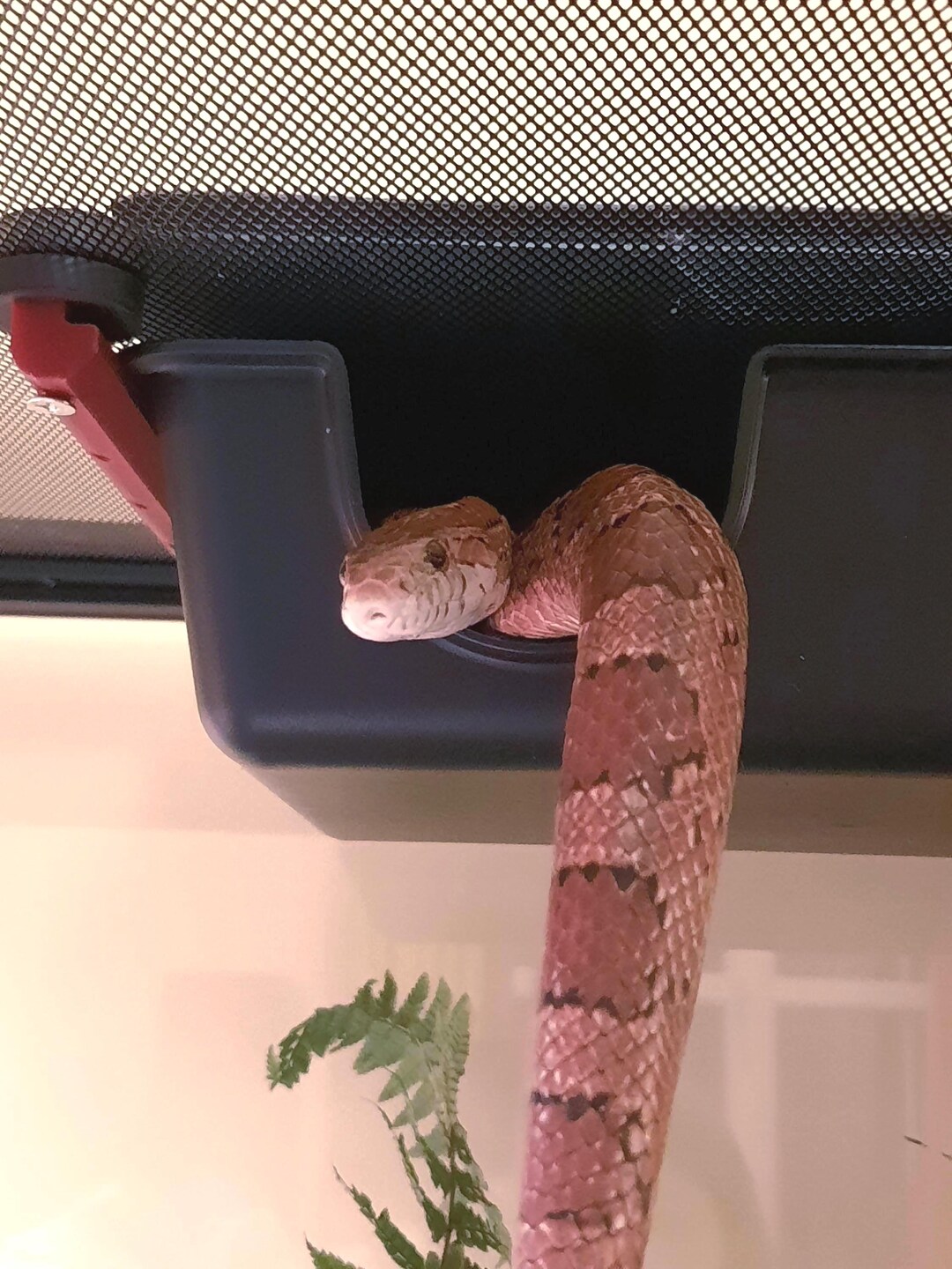 Reptile Skyhide Conversion Kit | Magnetic Modular Sky Hide Mounting ...