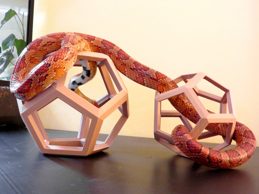 Reptile Enrichment | Ball Python Jumbo Jungle Gym Ball - Etsy