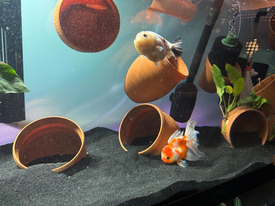 Extra Large Aquarium Vase Cave Fish Hide | Custom Design for Fancy ...