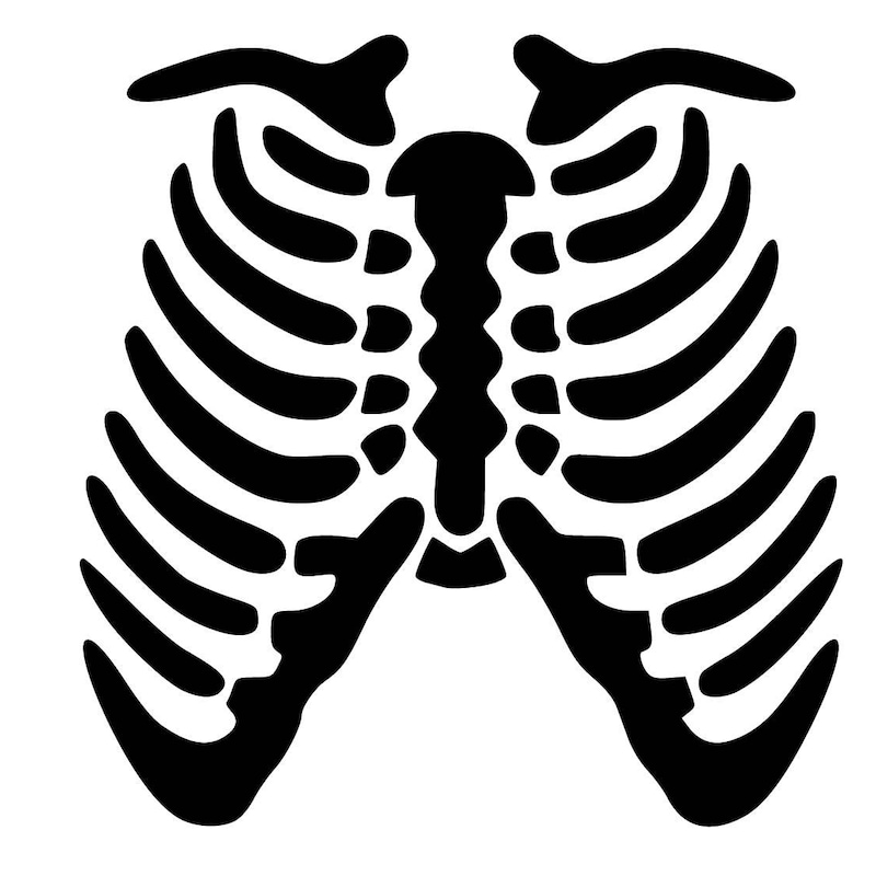 Rib Cage - Etsy