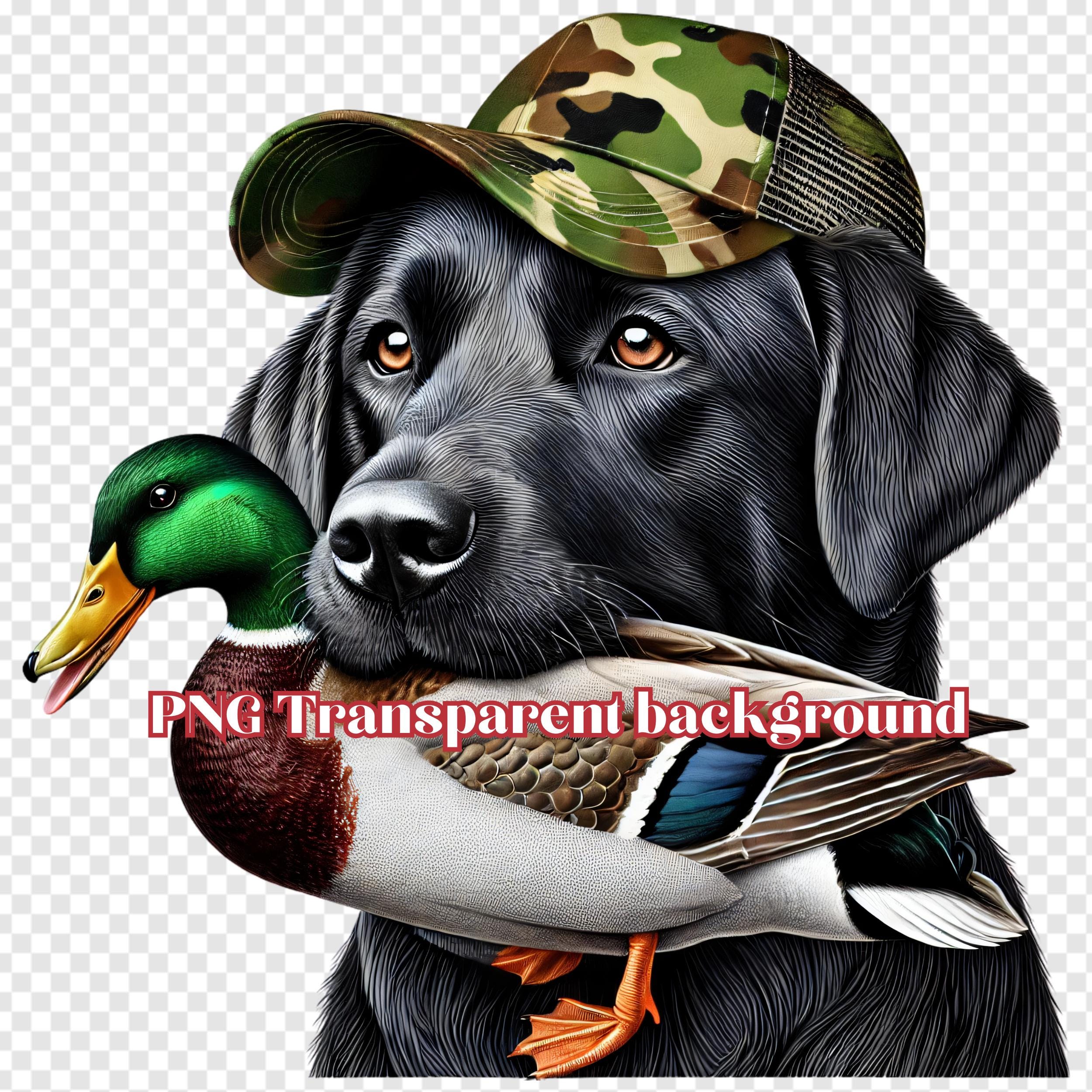 Duck Hat for Dog Etsy UK