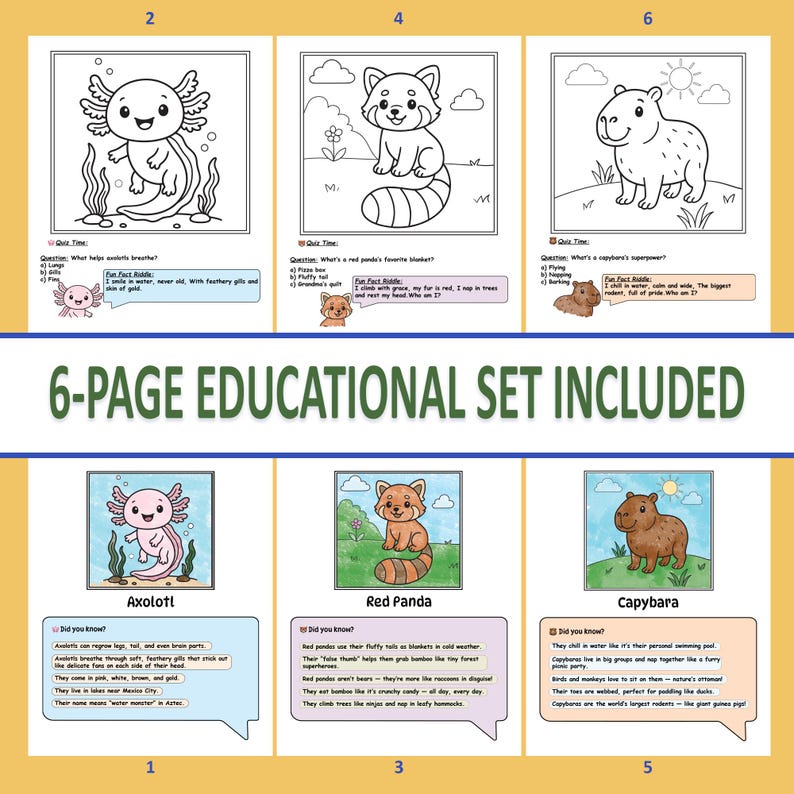 Rare Animals Educational Coloring Pages | Axolotl, Red Panda, Capybara ...
