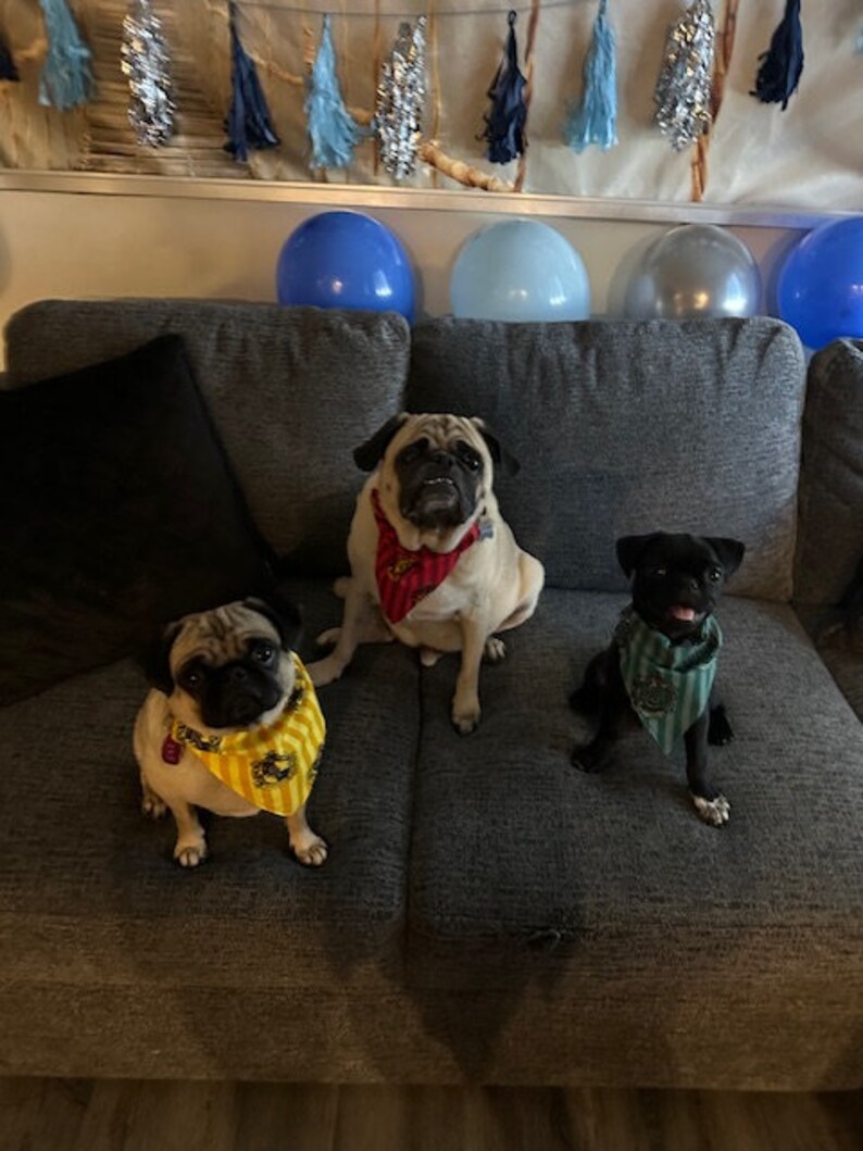 Gryffindor Dog Bandana/ Hogwarts House/ Harry Potter/ Dog Bandana/ Over ...