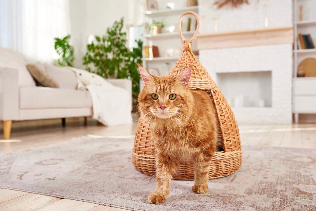 Cat Nap Cocoon, Best Aesthetic Cat Cave, Modern Cat House, Cat Bed, Cat ...