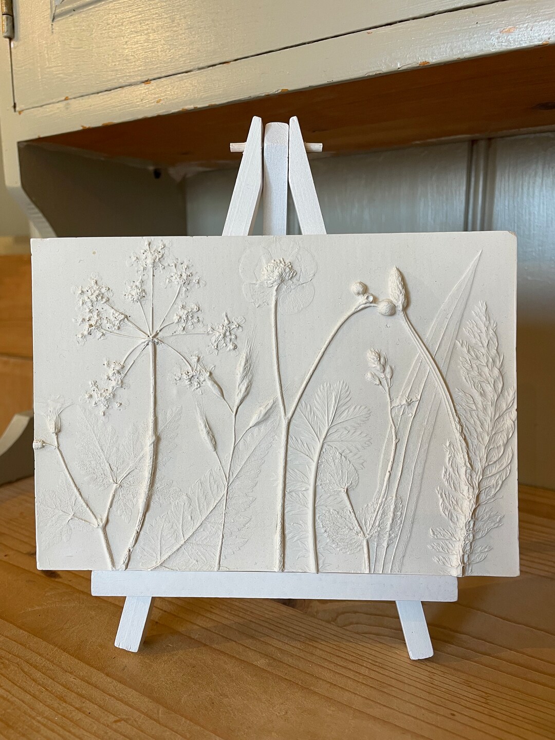 Botanical Plaster Casts Meadow Flowers and Grasses - Etsy