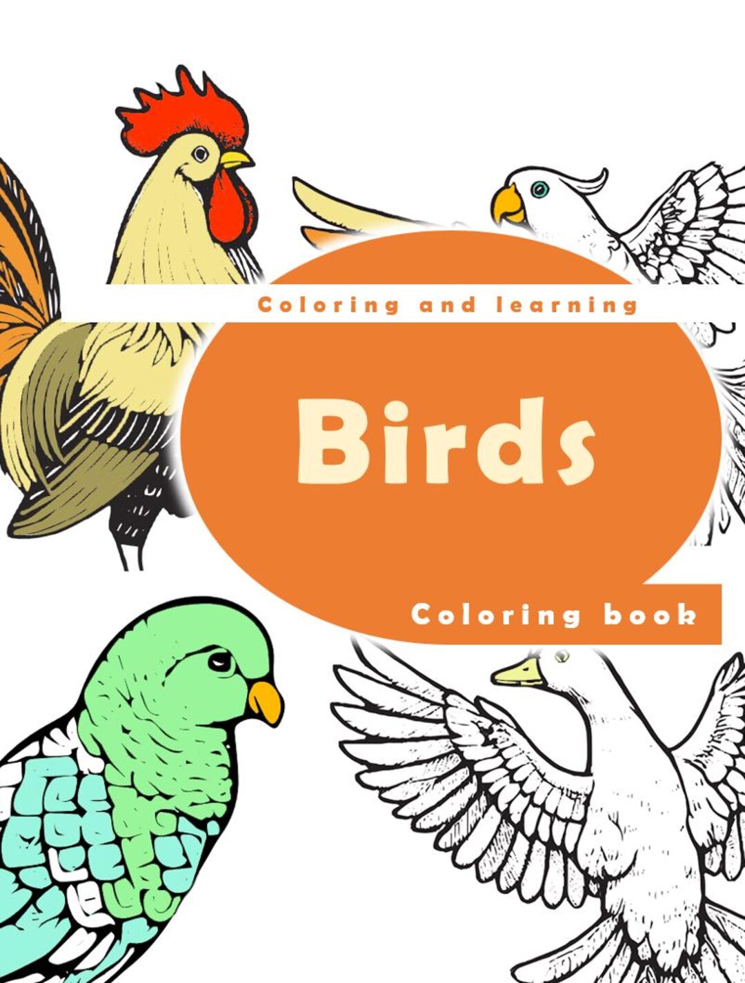 Color & Learn: Birds Coloring Book for Kids | Printable Activity Pages ...