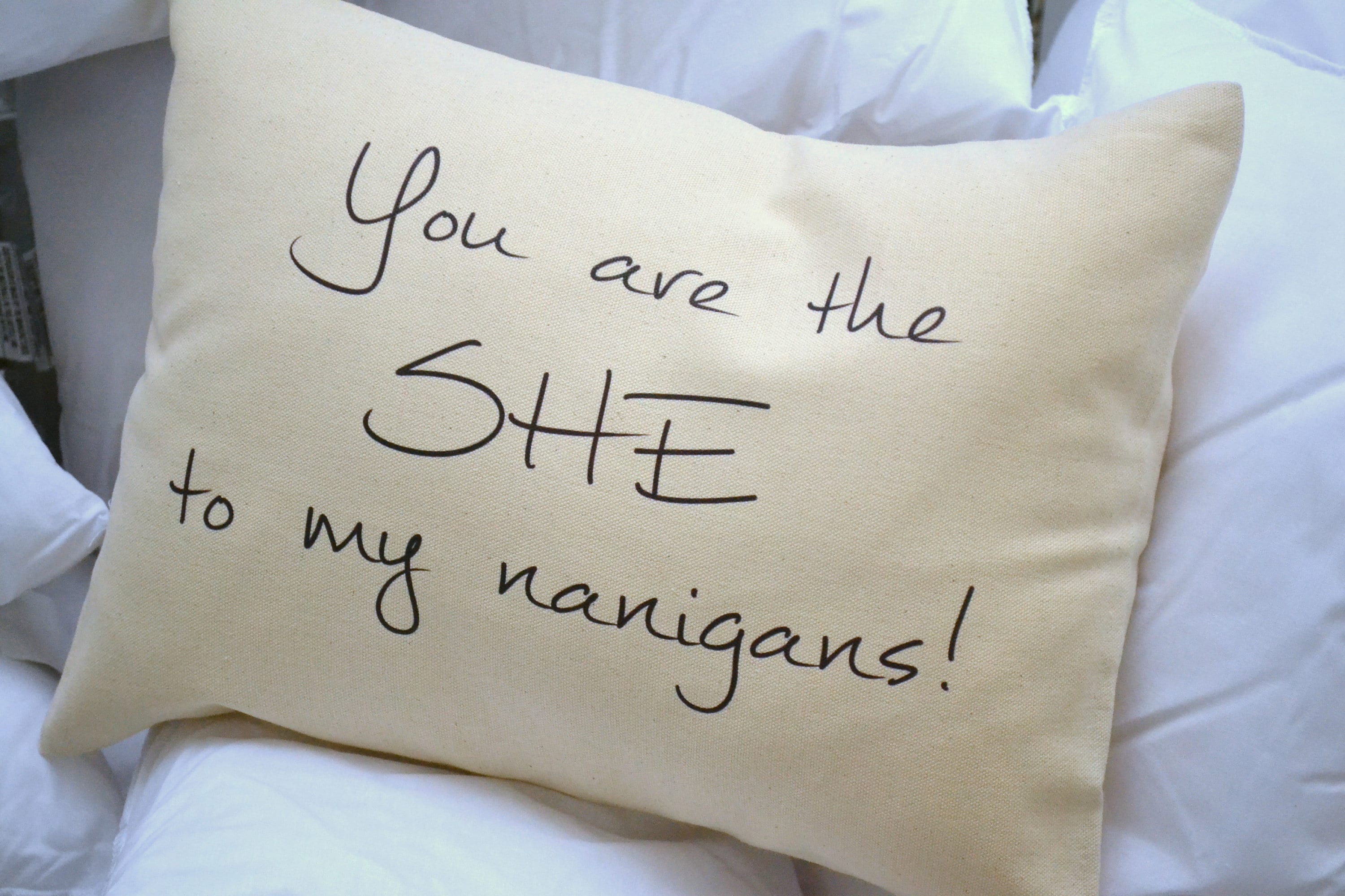 Shenanigans Pillow, Girls Weekend Gift, Womens Pillow, Best Friend Gift ...
