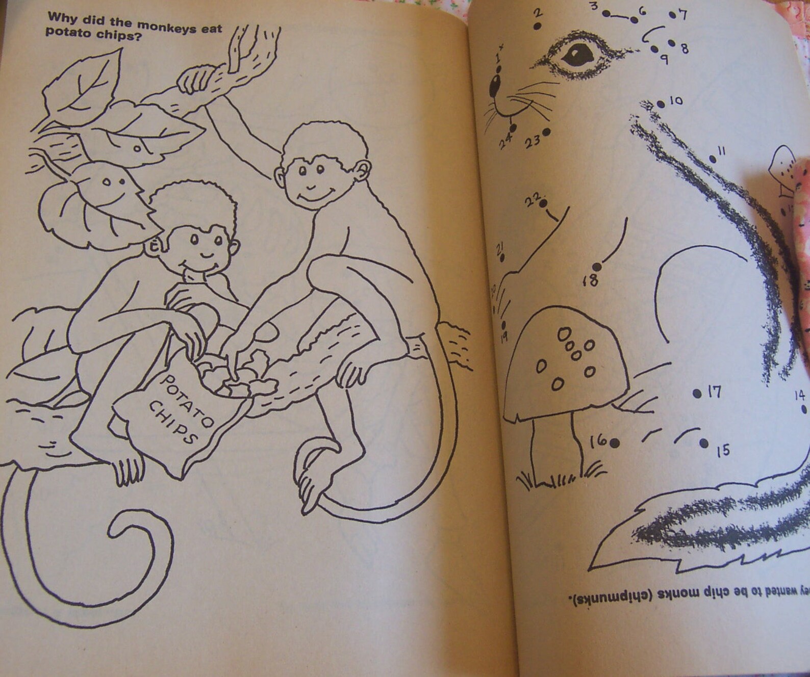 Book / Riddle Dee Dee Dot to Dot - Etsy