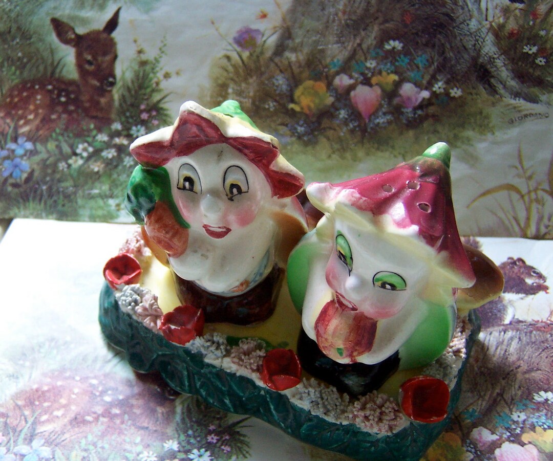 Shakers / Garden Flowers Shakers Set - Etsy