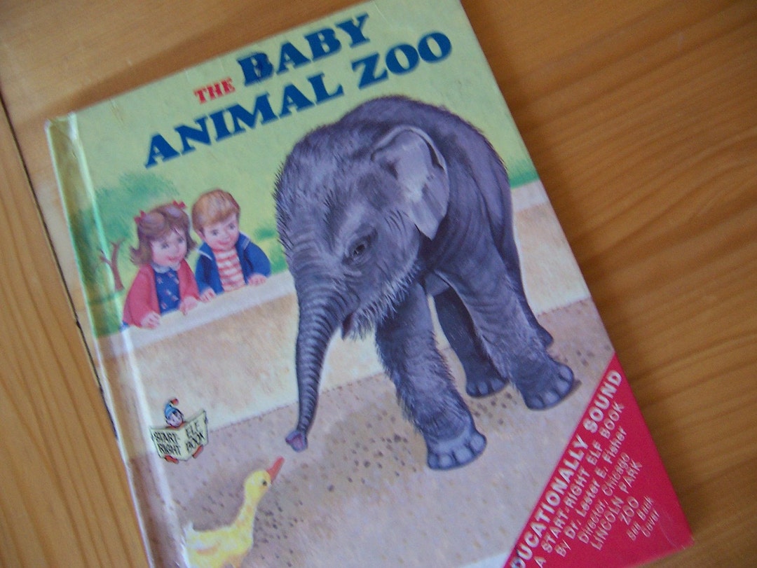 Book / 1971 the Baby Animal Zoo - Etsy