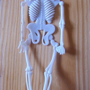 Skeleton / Plastic Hanging Skeleton - Etsy
