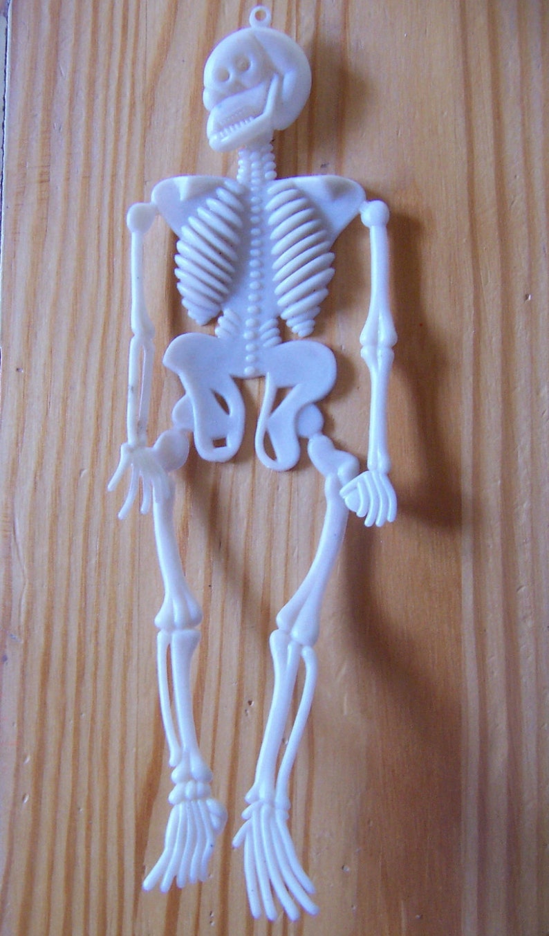 Skeleton / Plastic Hanging Skeleton | Etsy