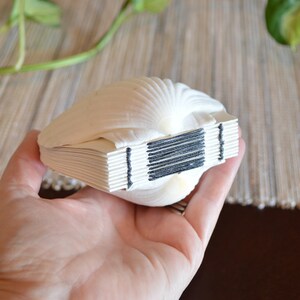 Genuine Seashell Scallop Shell Art Journal Blank Watercolor Paper ...