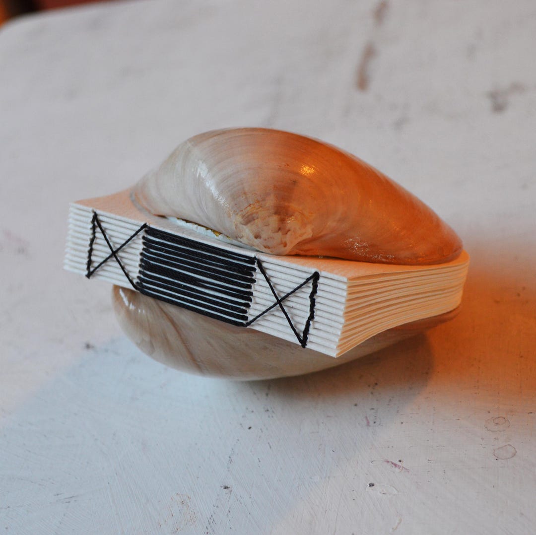 Genuine Chocolate Clam Shell Art Journal Book /blank Watercolor Paper ...