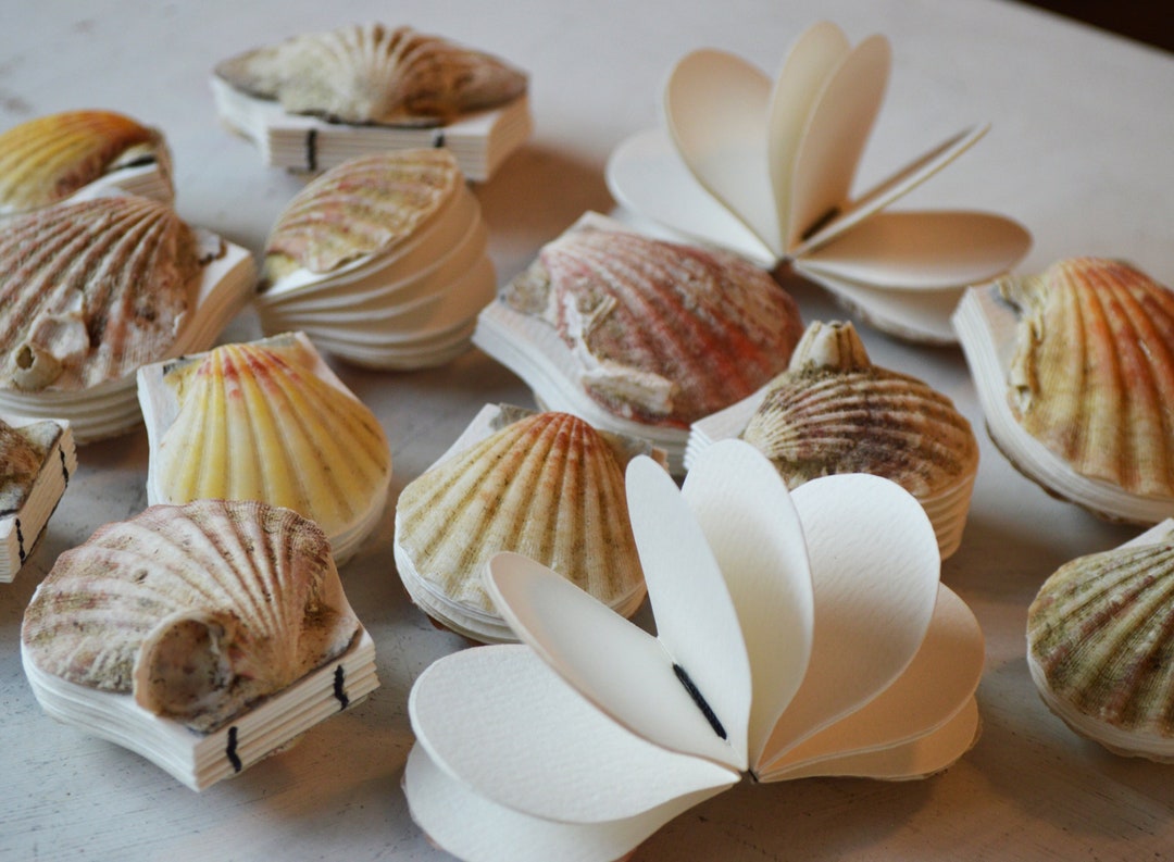 Real Seashell Tiny Scallop Shell Art Journal / Blank Book / Micro ...
