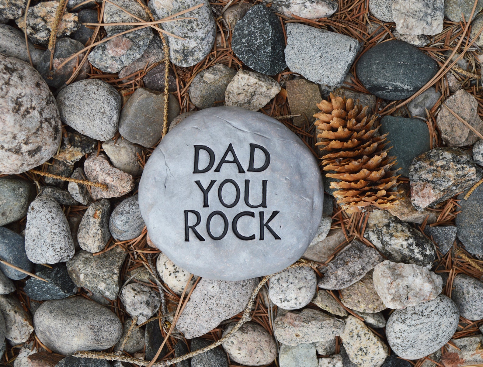 Gift for dad / funny dad gifts / Birthday gift for dad / dad | Etsy