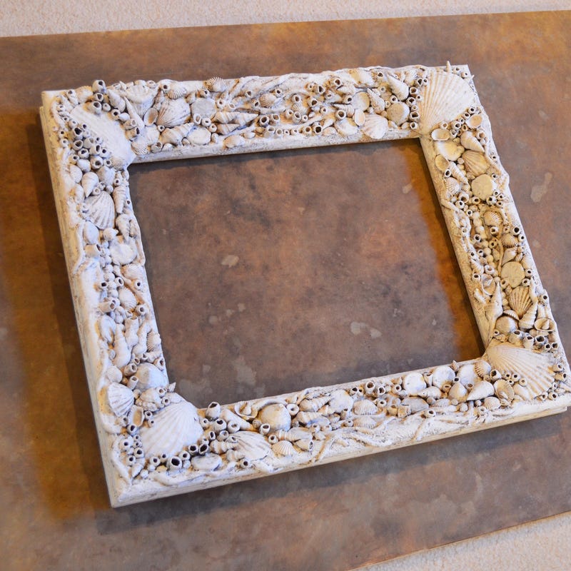 Shell Frame - Etsy