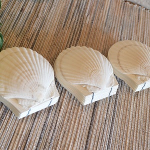 Genuine Seashell Scallop Shell Art Journal Blank Watercolor Paper ...
