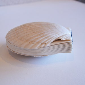 Genuine Seashell Scallop Shell Art Journal / Blank Book / - Etsy