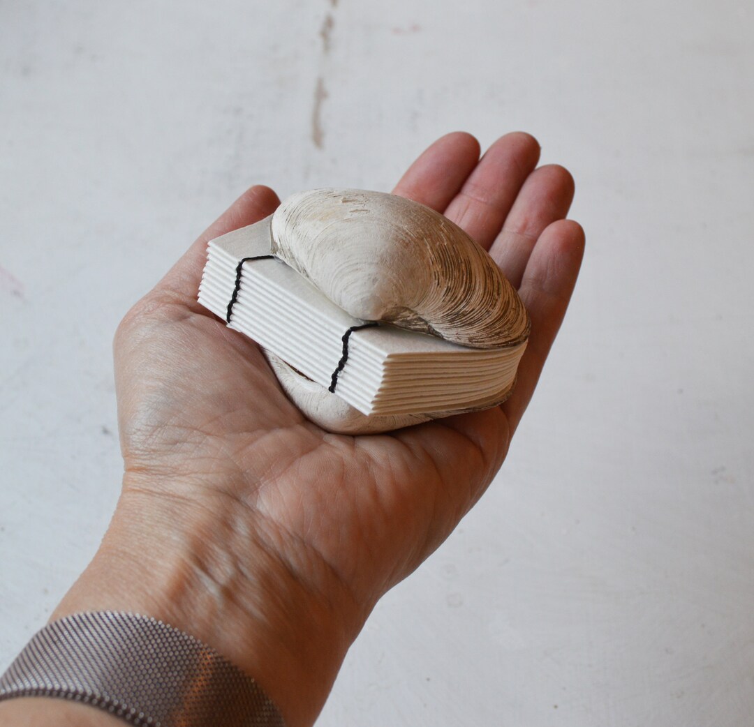 Genuine Seashell Clam Shell Art Journal Blank Book Mini Watercolor ...
