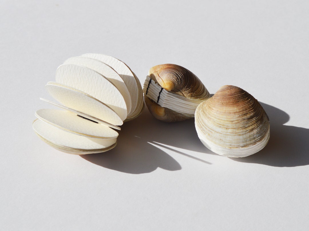 Genuine Seashell Art Journal Blank Book Micro Watercolor Paper ...