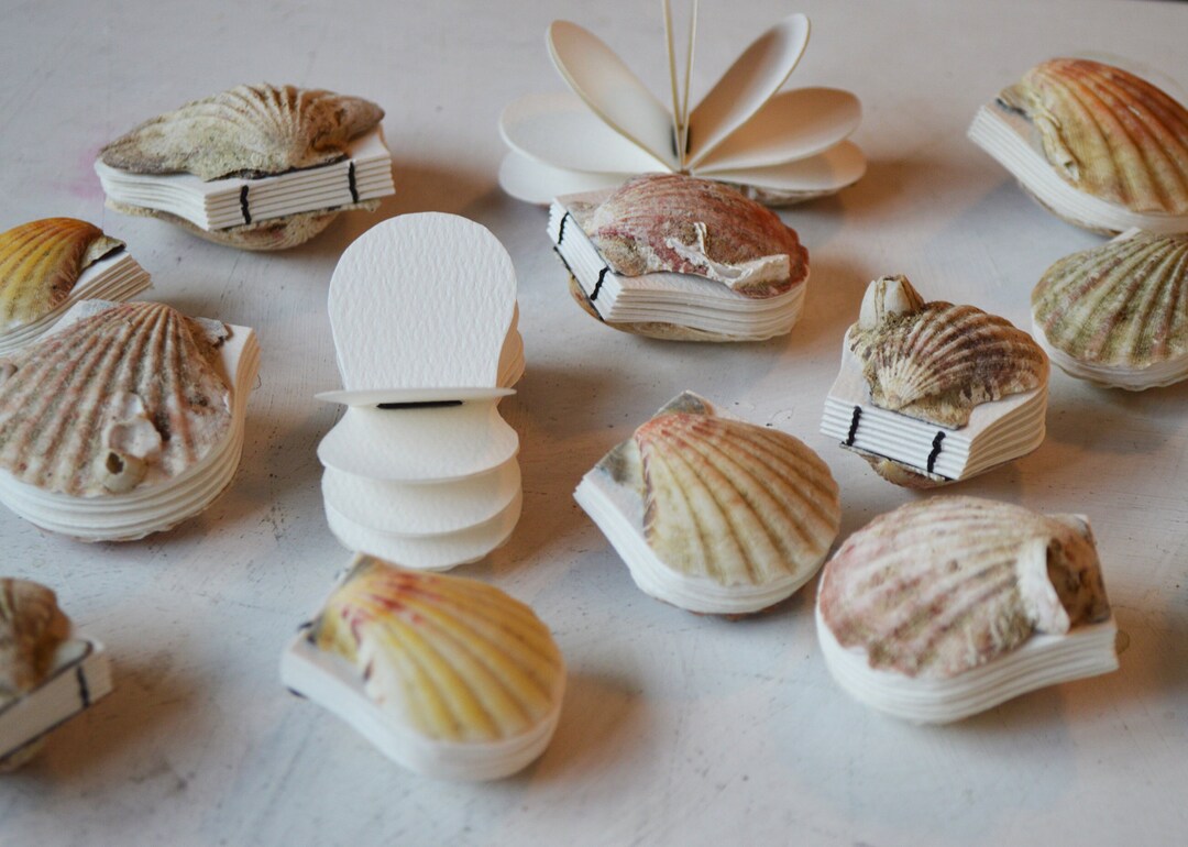 Real Seashell Tiny Scallop Shell Art Journal / Blank Book / Micro ...