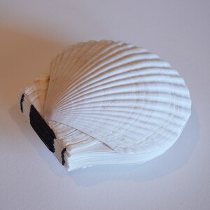 Genuine Seashell Scallop Shell Art Journal / Blank Book / - Etsy