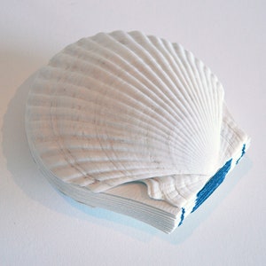 Genuine Seashell Scallop Shell Art Journal / Blank Book / - Etsy