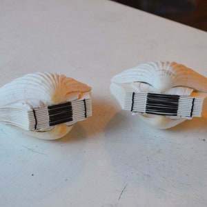 Genuine Seashell Scallop Shell Art Journal Blank Watercolor Paper ...