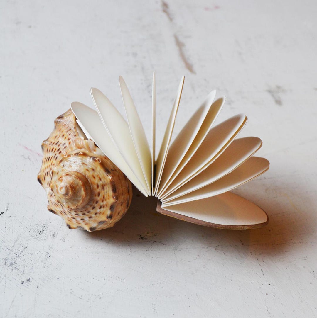 Genuine Seashell Art Journal / Blank Book / Unusual Watercolor Paper ...