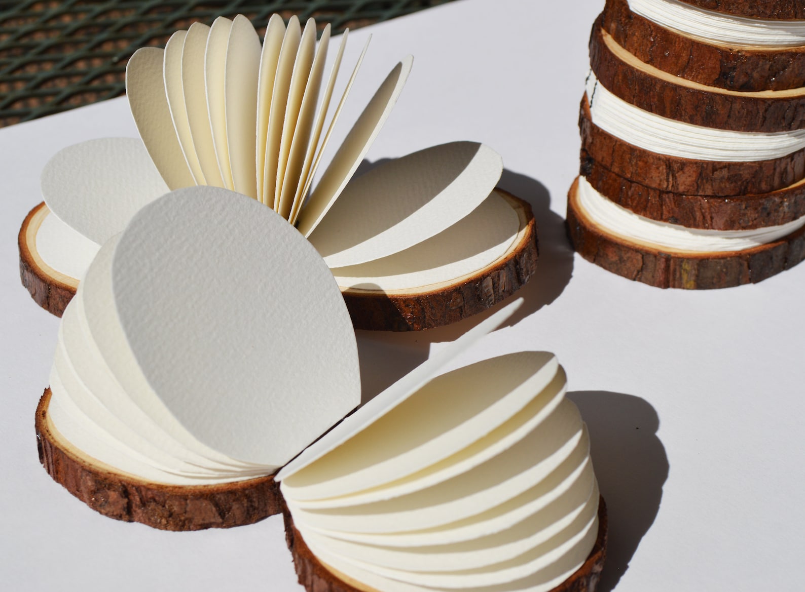 Genuine Tree Branch Slice Art Journal / Blank Book / Micro - Etsy